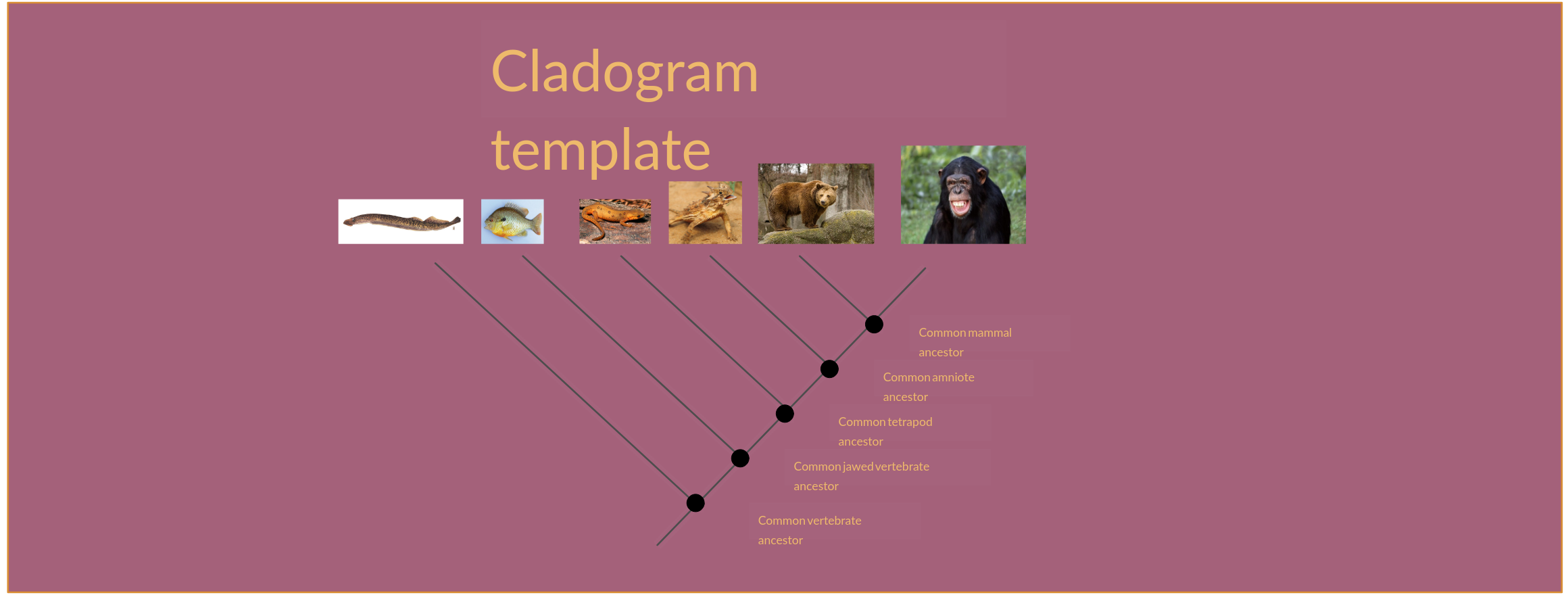 Cladogram [classic] | Creately