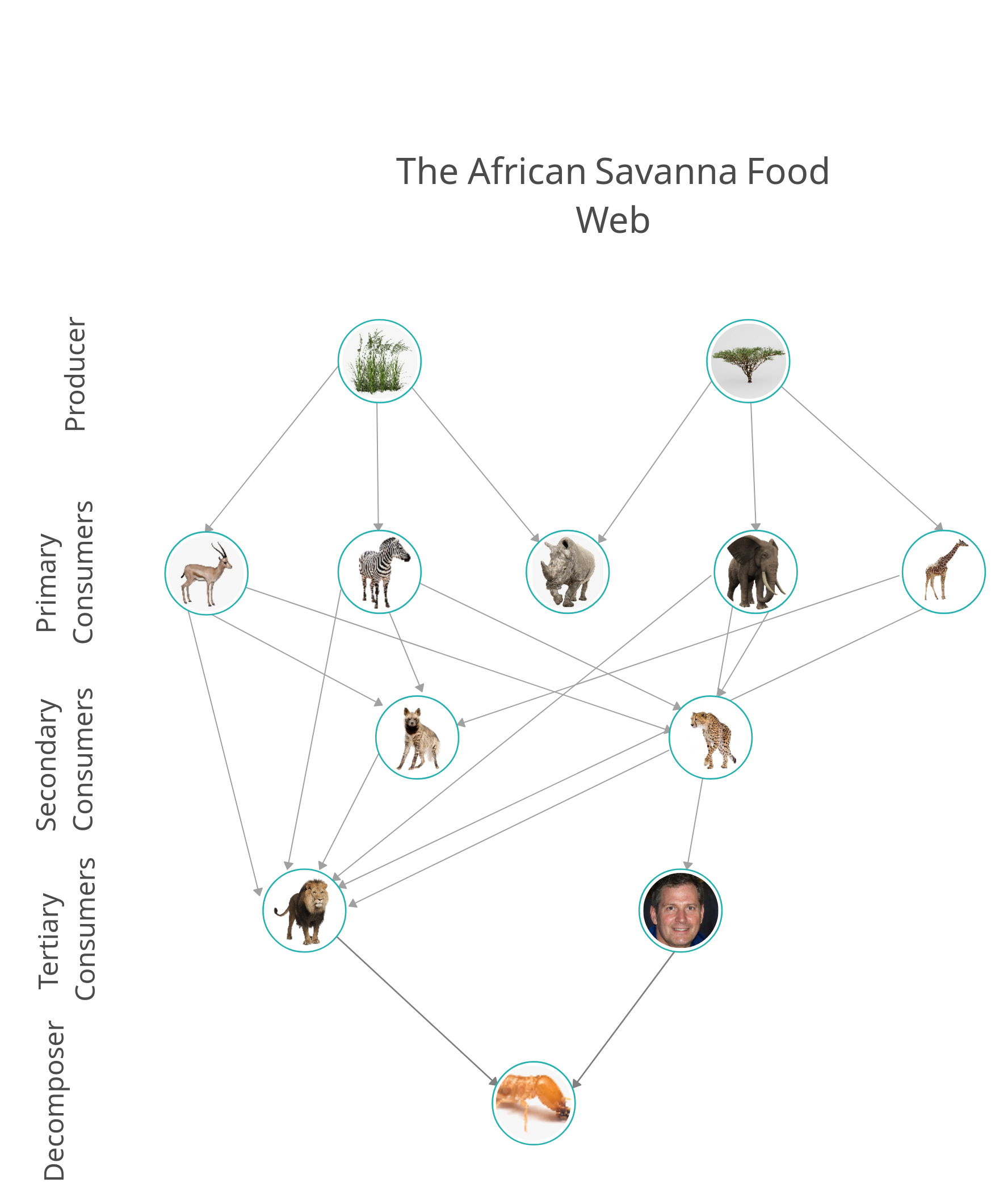 Use Case FYP | Creately